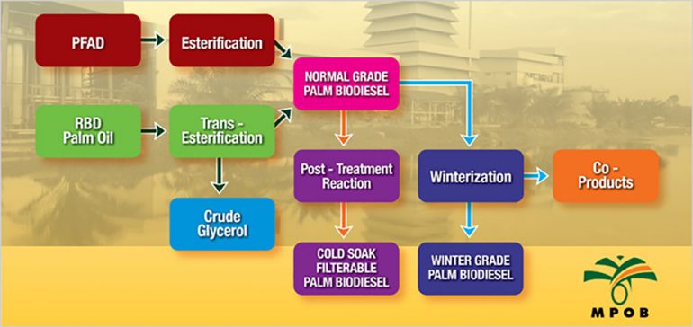 Palm Biodiesel (normal & winter grades) – Oiltek
